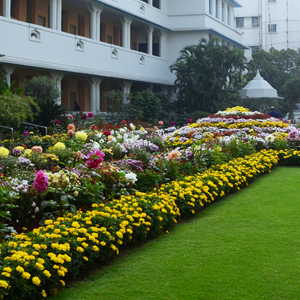 The Horticulture Department – RKM Institute of Culture